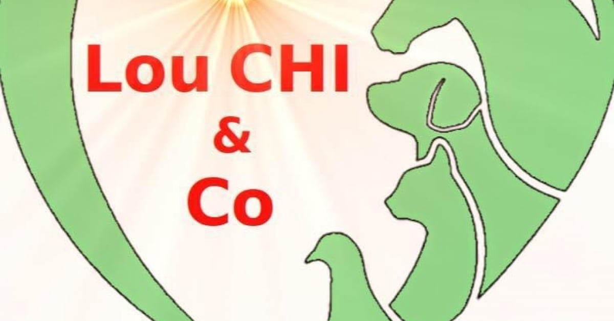 Association Louchi et compagnie