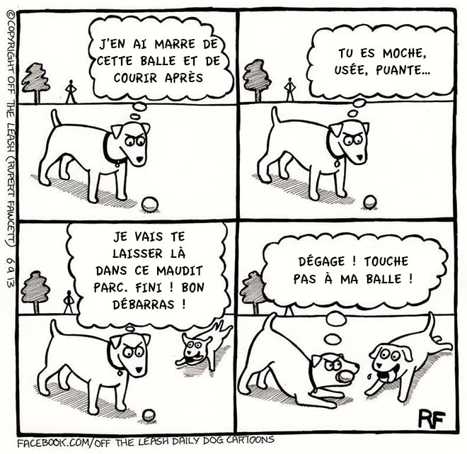 21 dessins décrivant la vie de chien avec beaucoup d’humour