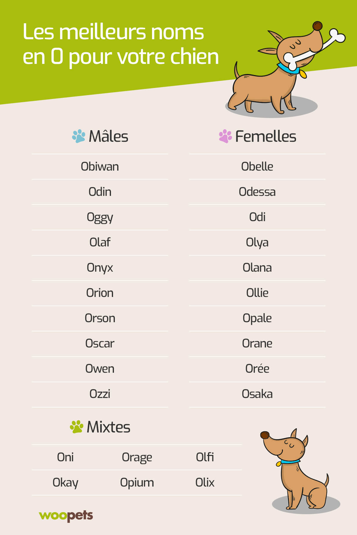 Quel Lettre Pour Les Chien En 2017 Chien Nouvelles