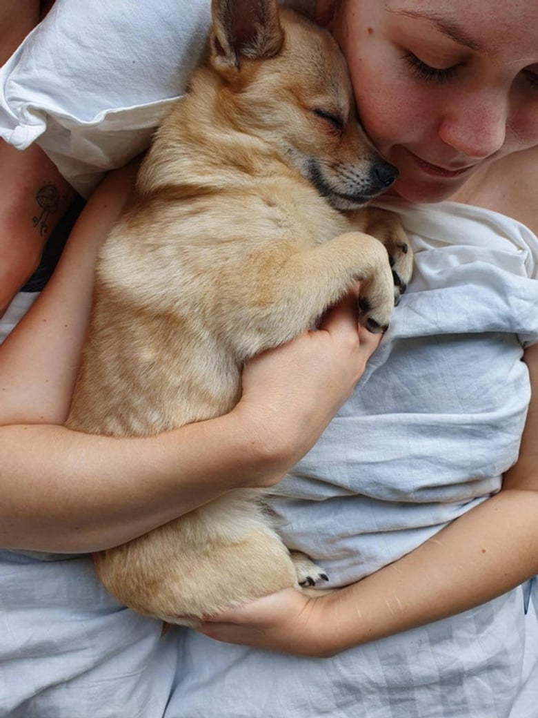 14 photos d'humains et d'animaux possédant un trésor inestimable : l'amour