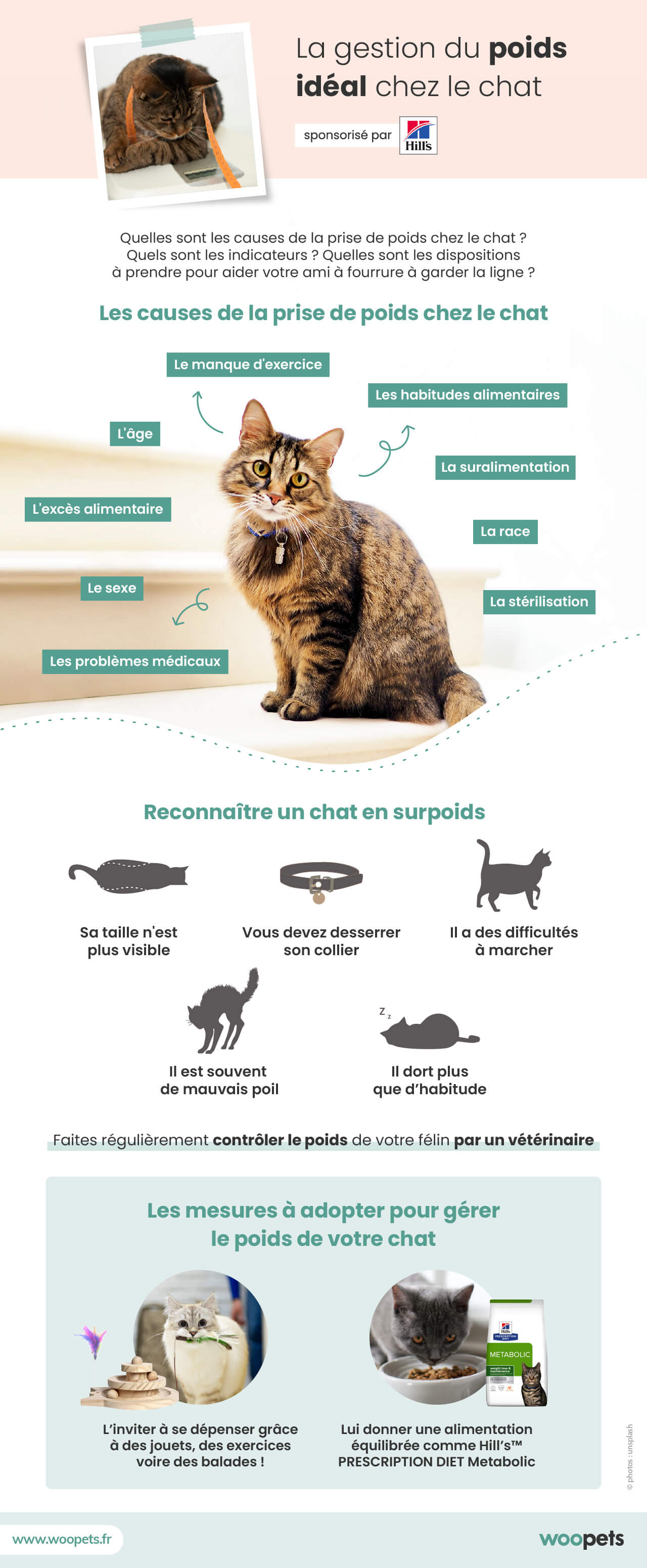 La gestion du poids idéal chez le chat