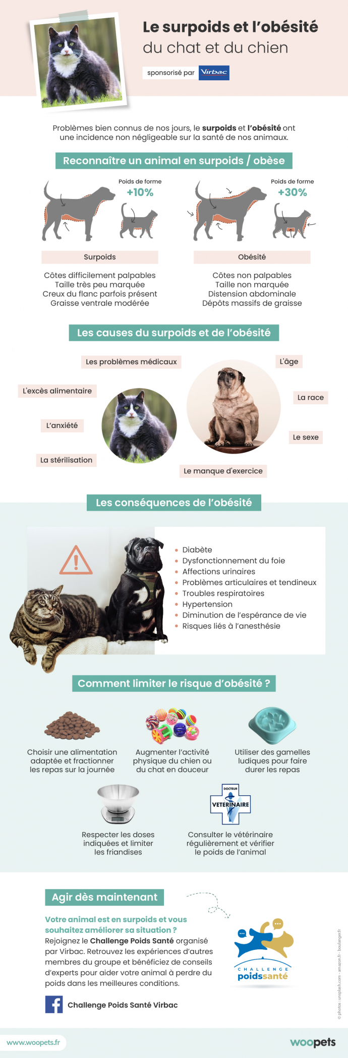 Évaluer le score d'état corporel de son chien ou de son chat