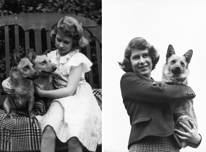 18 superbes photos illustrant l'amour que portait la reine Elisabeth II ...