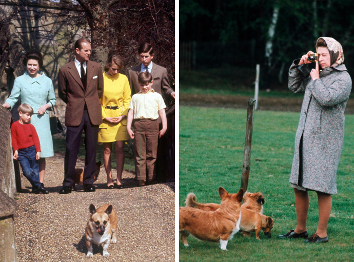 18 superbes photos illustrant l'amour que portait la reine Elisabeth II ...