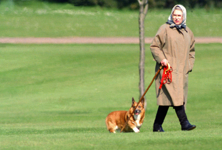18 superbes photos illustrant l'amour que portait la reine Elisabeth II ...