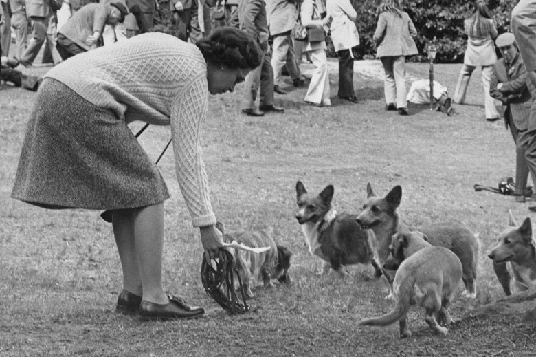 18 superbes photos illustrant l'amour que portait la reine Elisabeth II ...