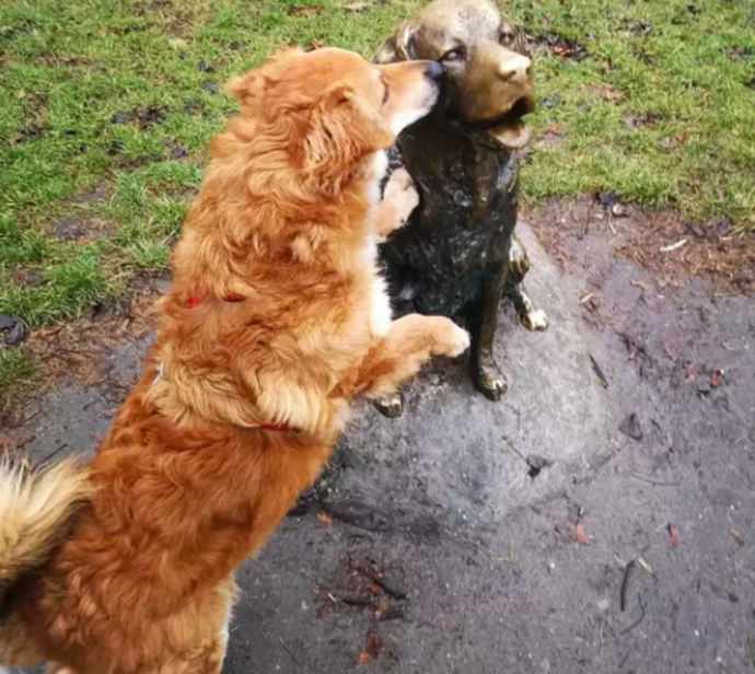 20 photos de chiens distribuant les bisous à tout va pour notre plus ...