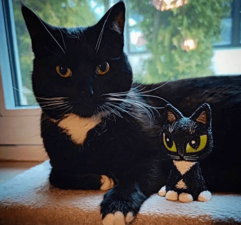 20 photos de chats tuxedo vêtus de leur plus beau costume naturel pour ...