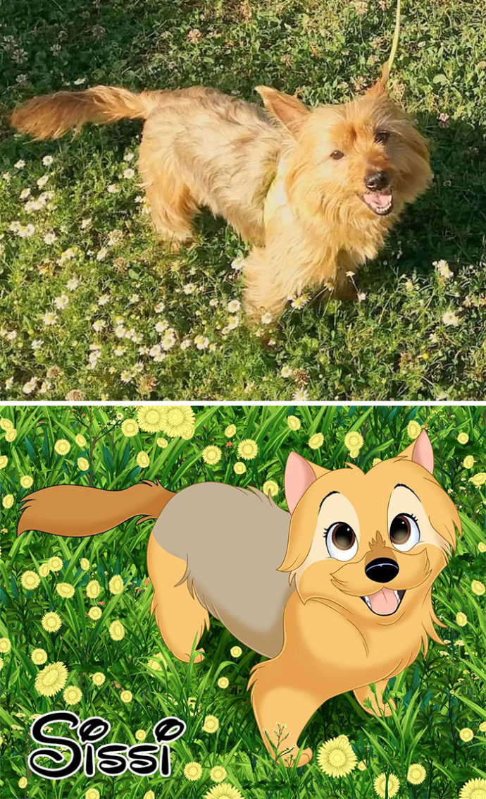 20 nouvelles photos d'animaux transformés en personnages Disney par ...