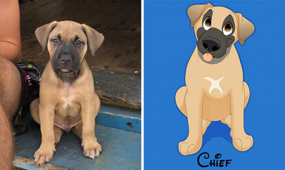 20 nouvelles photos d'animaux transformés en personnages Disney par ...