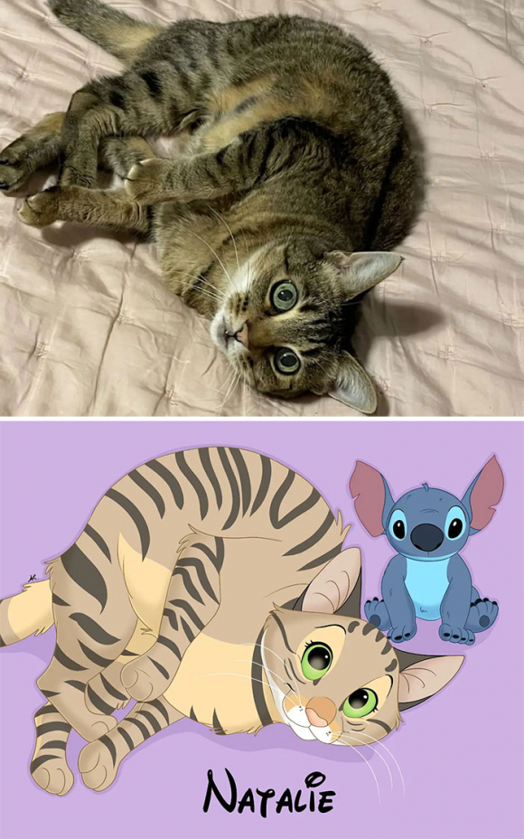 20 nouvelles photos d'animaux transformés en personnages Disney par ...