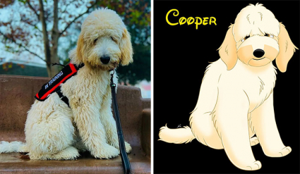 20 nouvelles photos d'animaux transformés en personnages Disney par ...