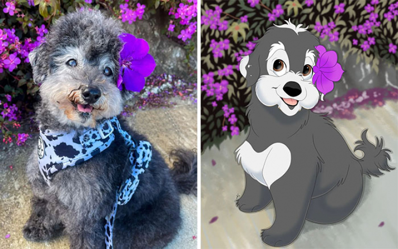 20 nouvelles photos d'animaux transformés en personnages Disney par ...