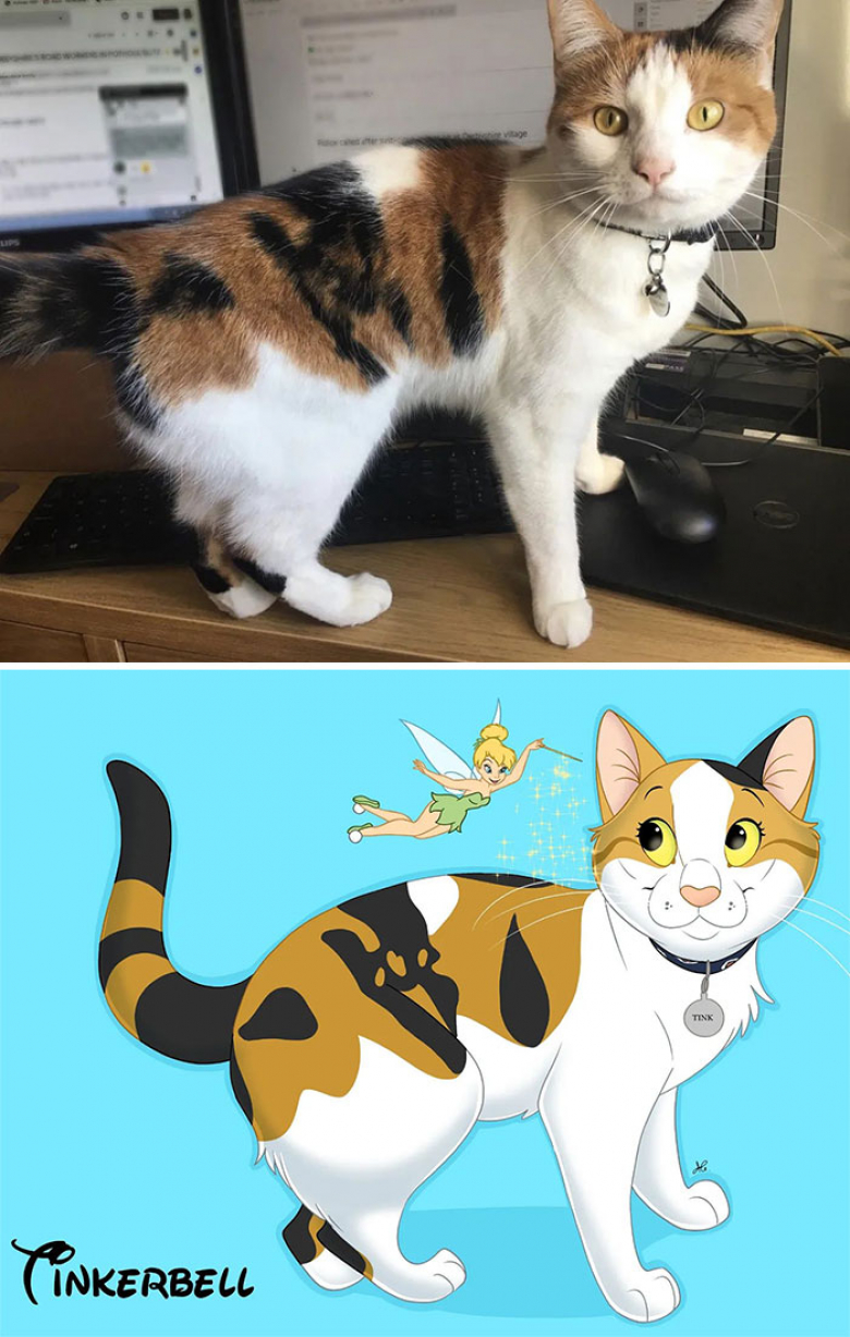 20 nouvelles photos d'animaux transformés en personnages Disney par ...