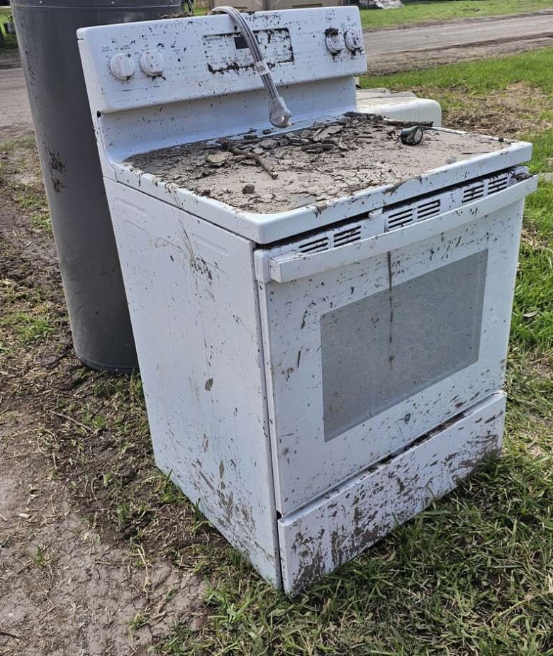 « Il essayait juste de survivre », un chat survit aux inondations en ...