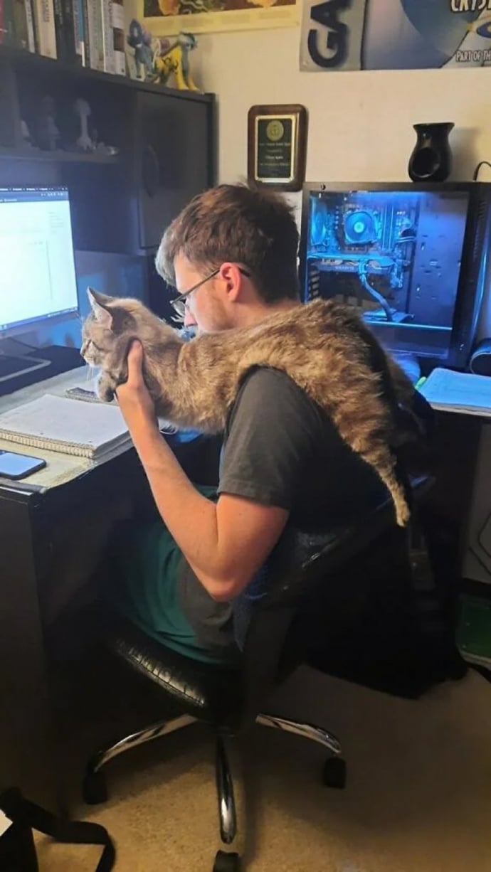Après avoir vécu dans la rue, ce chat devient le meilleur soutien de ...