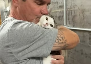 Ce chaton orphelin recueilli et biberonné par un homme au grand cœur ...