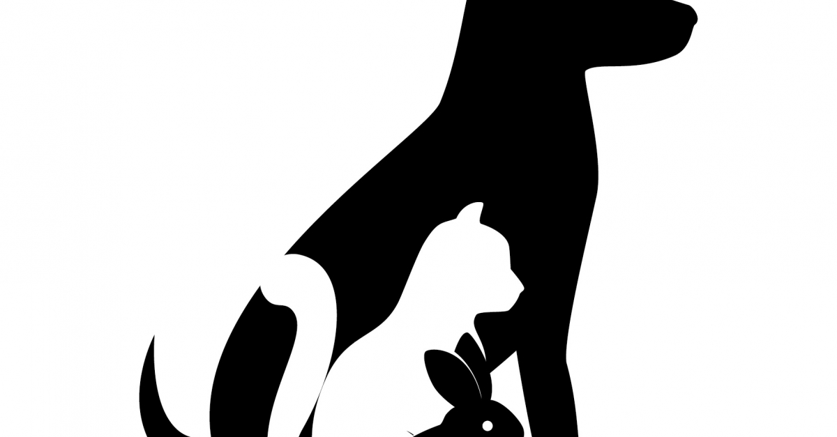 Soutenez "Adoptanimaux" avec les Clics Solidaires Woopets
