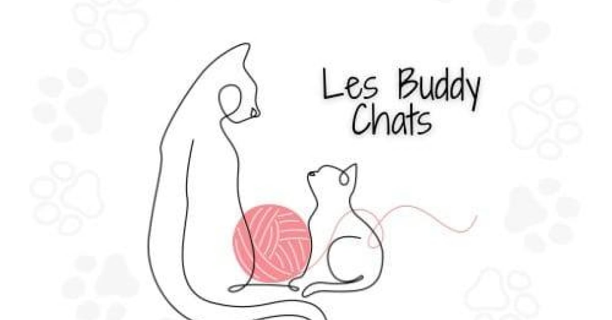 Soutenez "les buddy chats" avec les Clics Solidaires Woopets