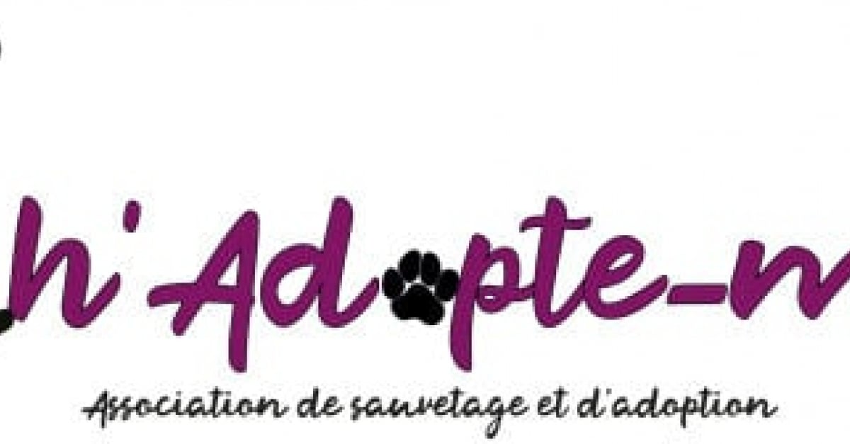 Soutenez "Ch'adopte-moi" avec les Clics Solidaires Woopets