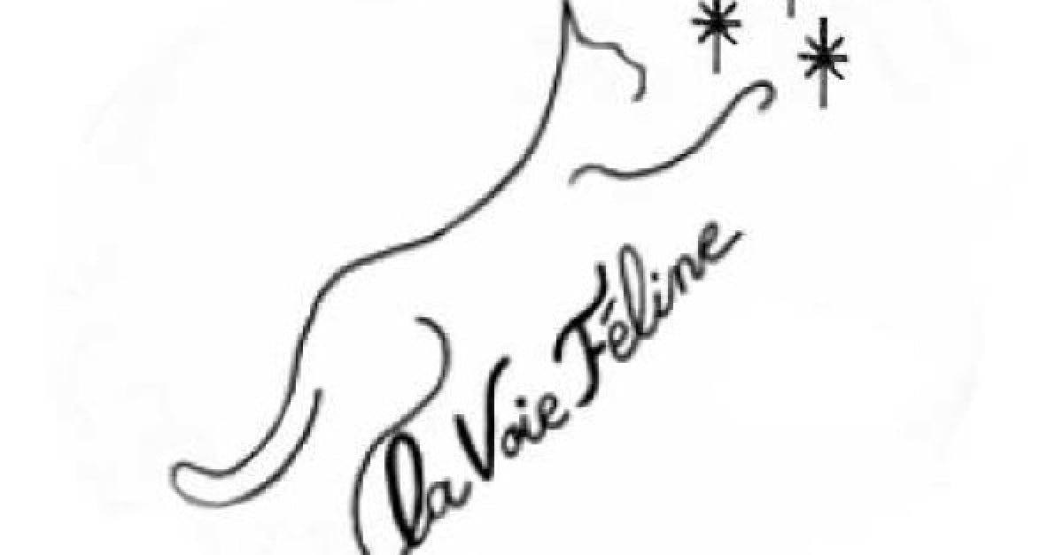 Soutenez "LA VOIE FELINE" avec les Clics Solidaires Woopets