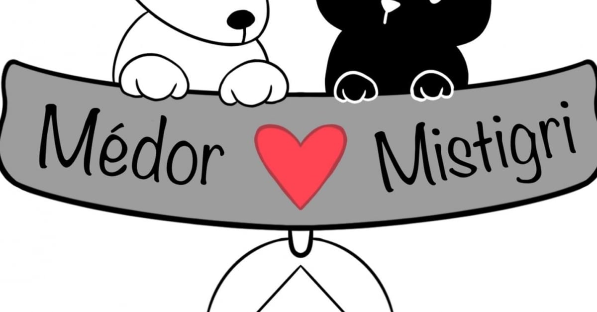 Soutenez "Médor et Mistigri" avec les Clics Solidaires Woopets