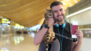Quelles sont les règles et les lois pour voyager avec son chat en avion