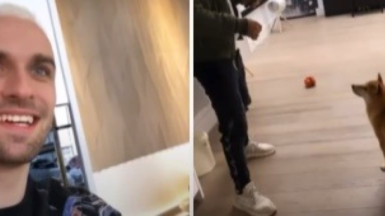 Squeezie : son chien Natsu tente d'attaquer son coiffeur