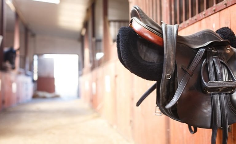 Bien choisir l'équipement de son cheval : le matériel de base