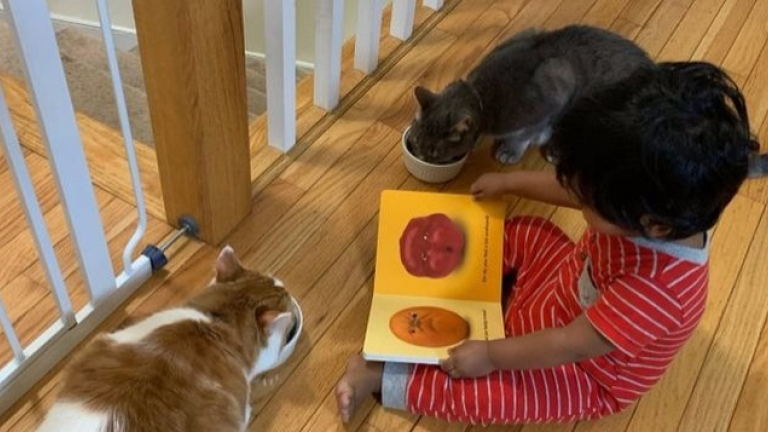 18 animaux qui ont développé un lien unique avec leurs propriétaires qu ...