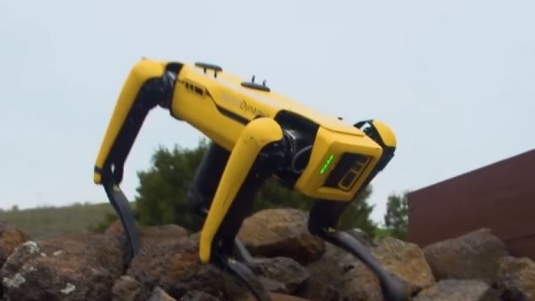 Des chiens robots pour visiter Mars ? Le projet de la NASA pour ...