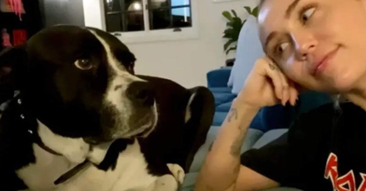 La chanteuse Miley Cyrus rend hommage à sa chienne Mary Jane en lui ...