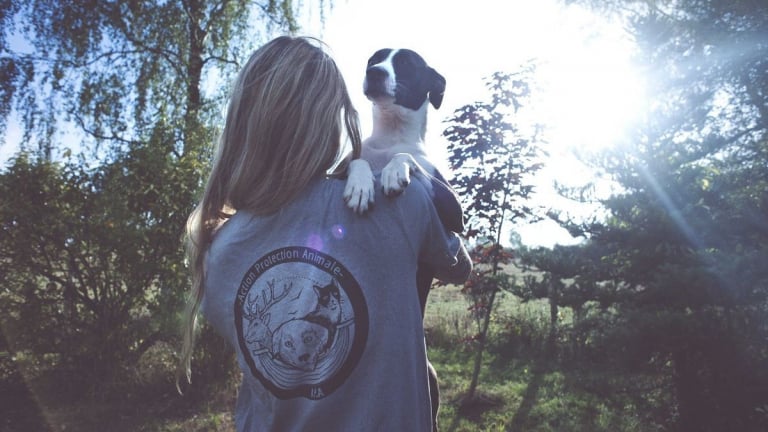 Derrière la BD solidaire « Confidences », une longue histoire d ...