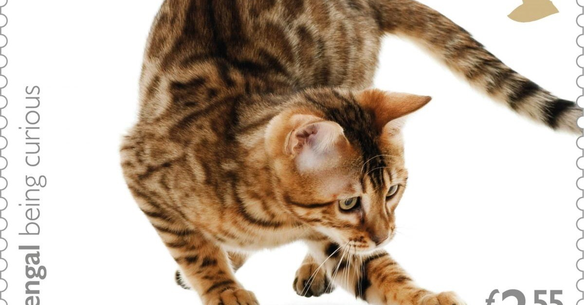 La poste britannique lance une nouvelle série de timbres avec des chats ...