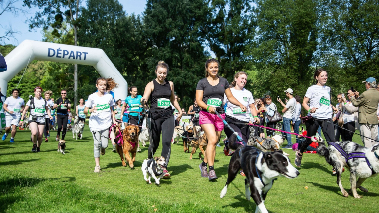 La Woof Run devient la Woofest : nouveau nom et nouveau concept pour le ...