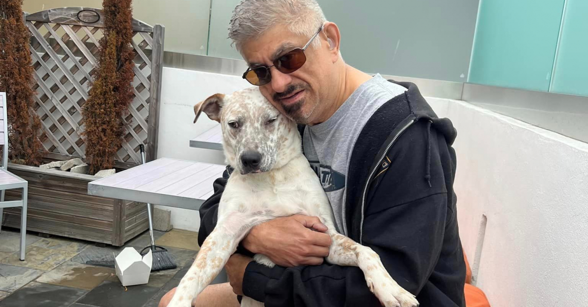 Atteint de surdité, un chien de refuge fait la rencontre d'un homme ...