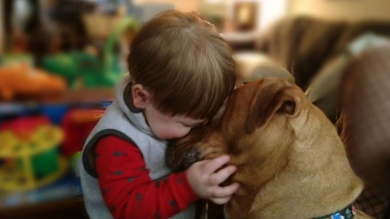 25 photos montrant que les enfants tissent d’incroyables liens avec ...