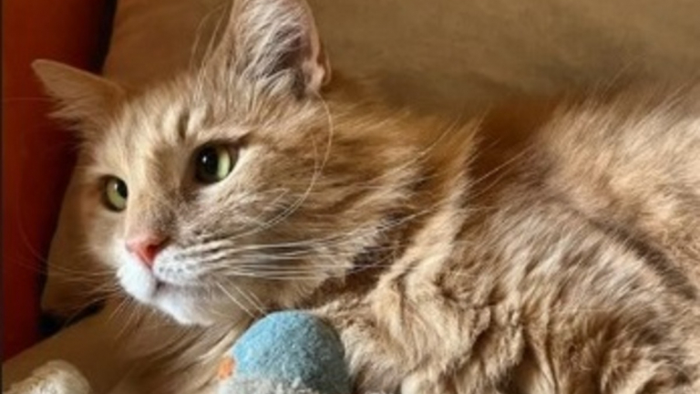 Le changement d'attitude d'un père qui ne voulait absolument pas du ...