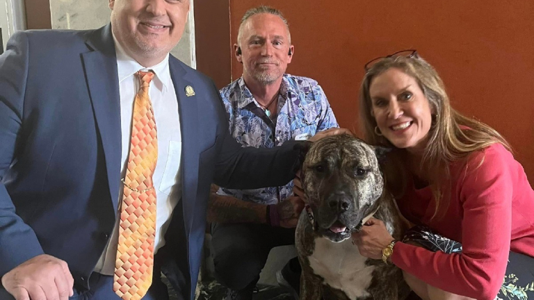 3 ans après son sauvetage inespéré, Ethan le chien ayant survécu à la ...