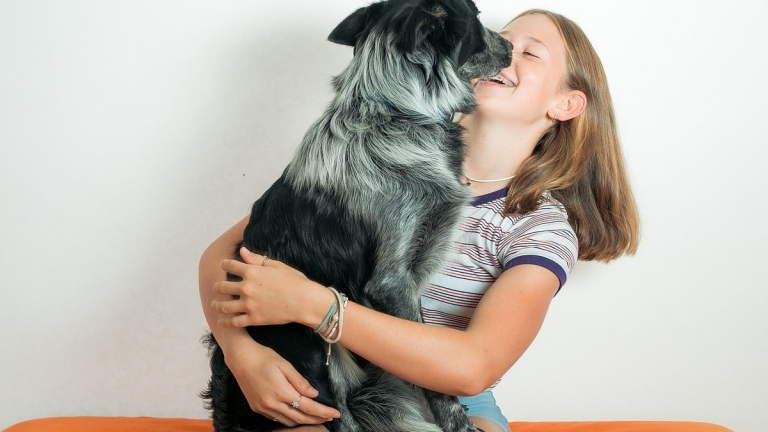 Kobaka, une opportunité pour vous, amoureux des chiens et chats, de ...