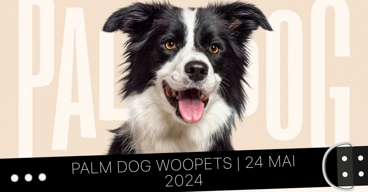 À l'occasion du Festival de Cannes, quel chien remportera la ...