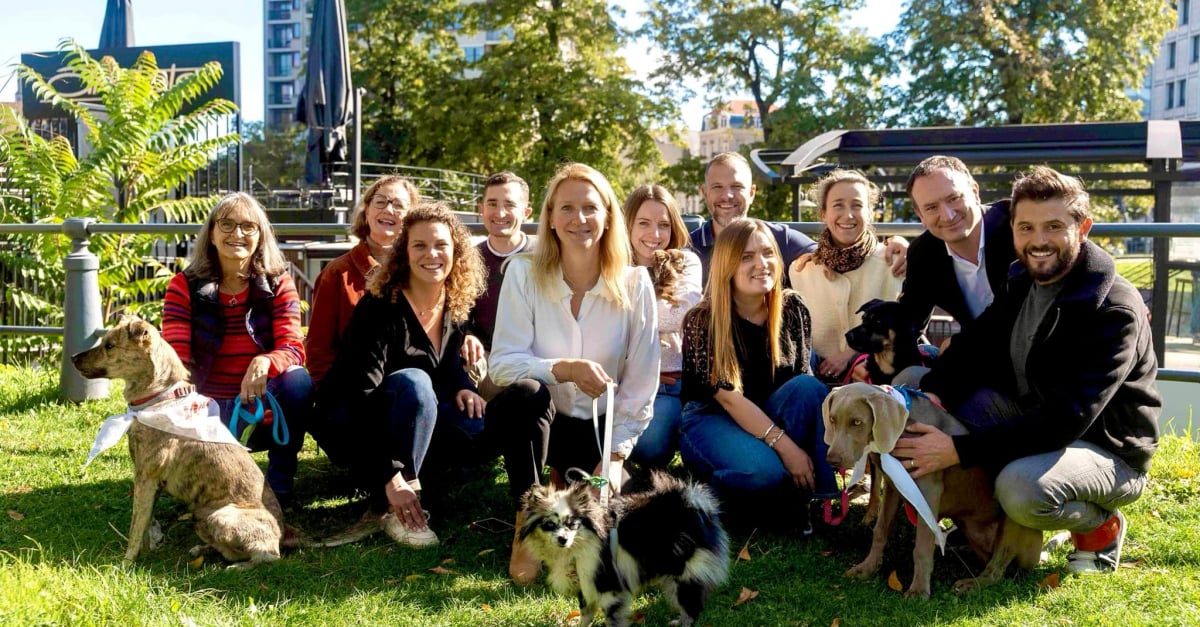 La Marche de l’Animal en Ville, un évènement joyeux pour sensibiliser ...