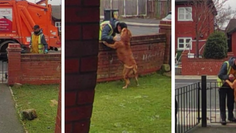 Une caméra capture la belle amitié entre un éboueur et le chien d’un ...
