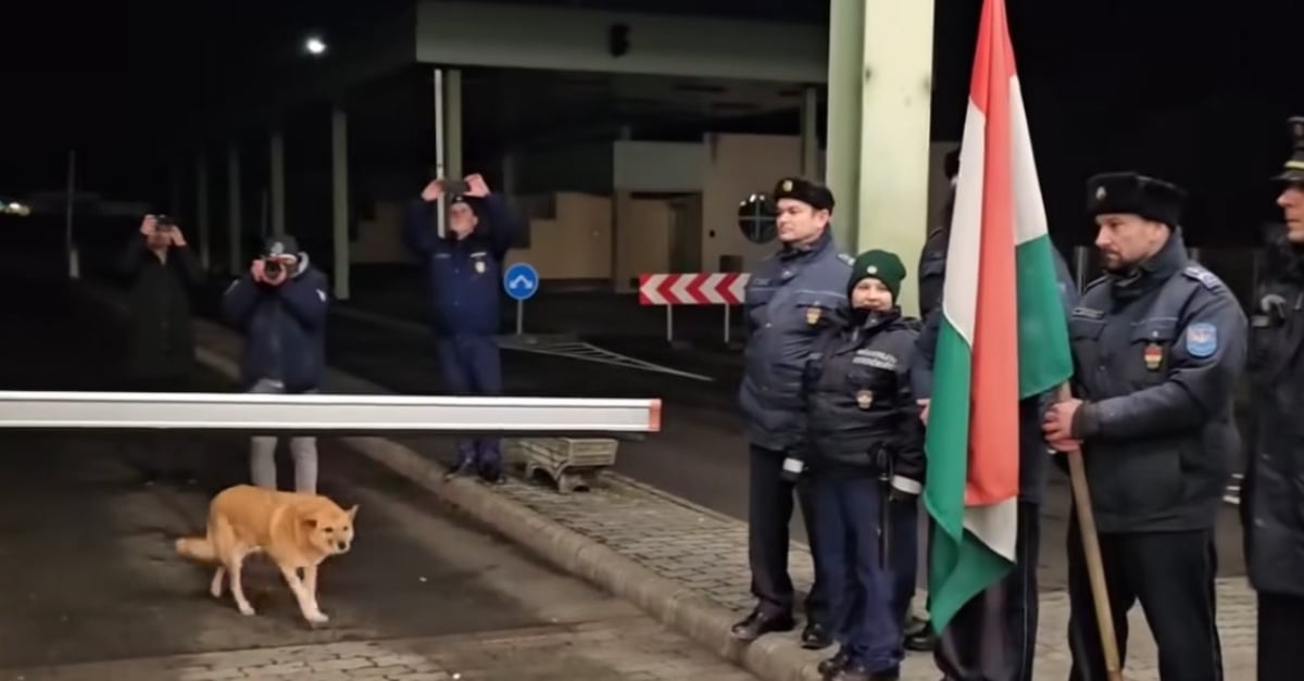Un chien errant traverse symboliquement un poste-frontière en pionnier ...