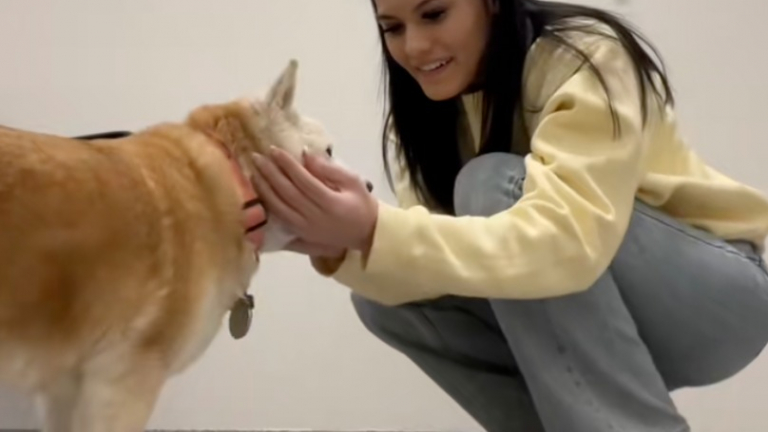 Arrivée au refuge avec l’idée d’adopter un chiot, une jeune femme tombe ...