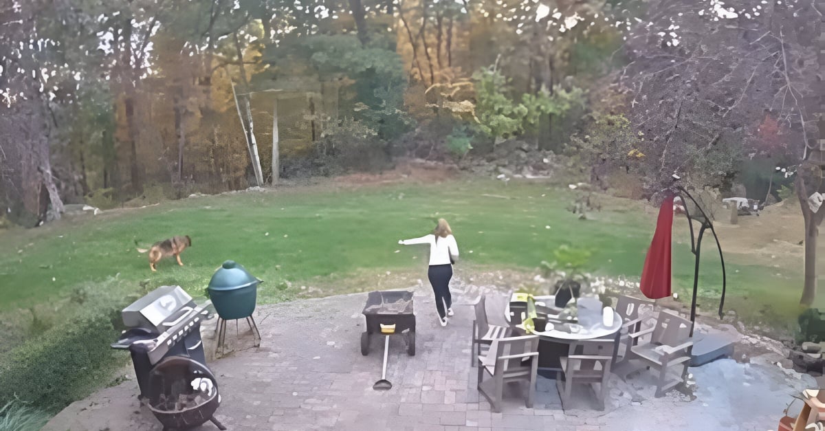 L’éducation parfaite de cette chienne lui évite une catastrophe alors ...