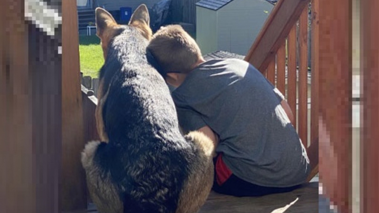 20 photos de chiens et de chats prouvant qu'ils sont les meilleurs pour ...