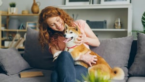 À la découverte de Blooming Pets, la plateforme de garde à domicile ...