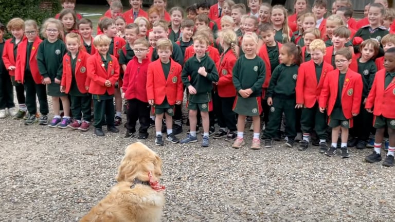 Pour les 4 ans de leur chienne de thérapie, des élèves lui réservent ...