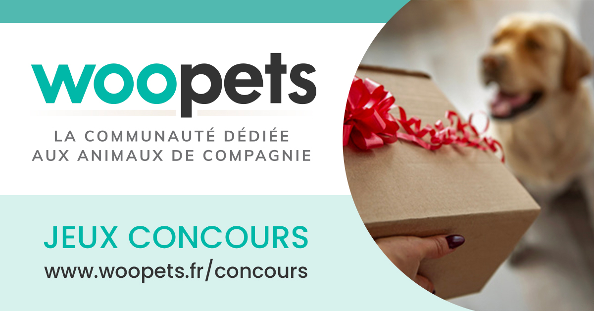 Concours - Woopets